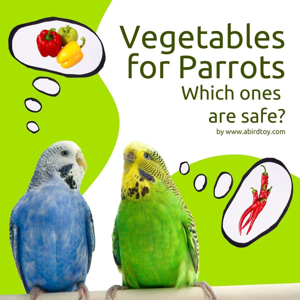 Which Vegetables Are Safe To Feed To Your Parrot?