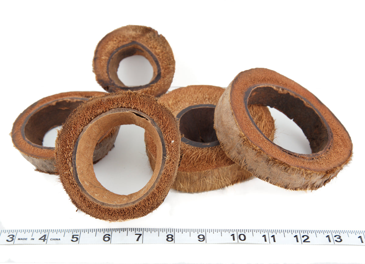 Coconut & Pine Cones